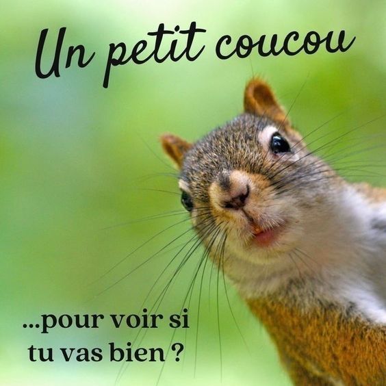 Bon week end - TOUT CE QUE J AIME. NATURE-VOYAGE-ANIMAUX