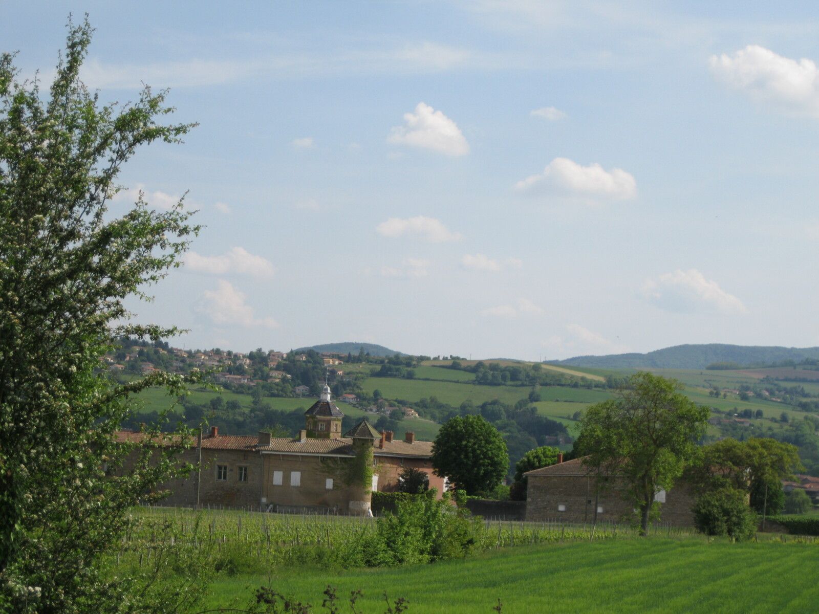 St Germain sur l'Arbresle dans le Beaujolais - ROZY