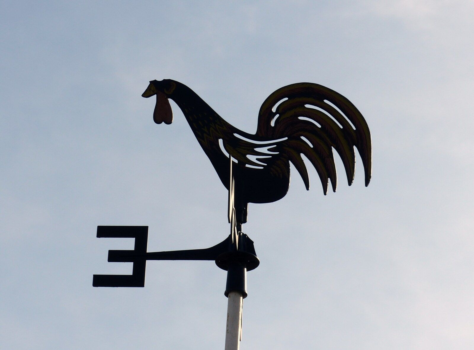 Picolet... dans le Beaujolais... - ROZY