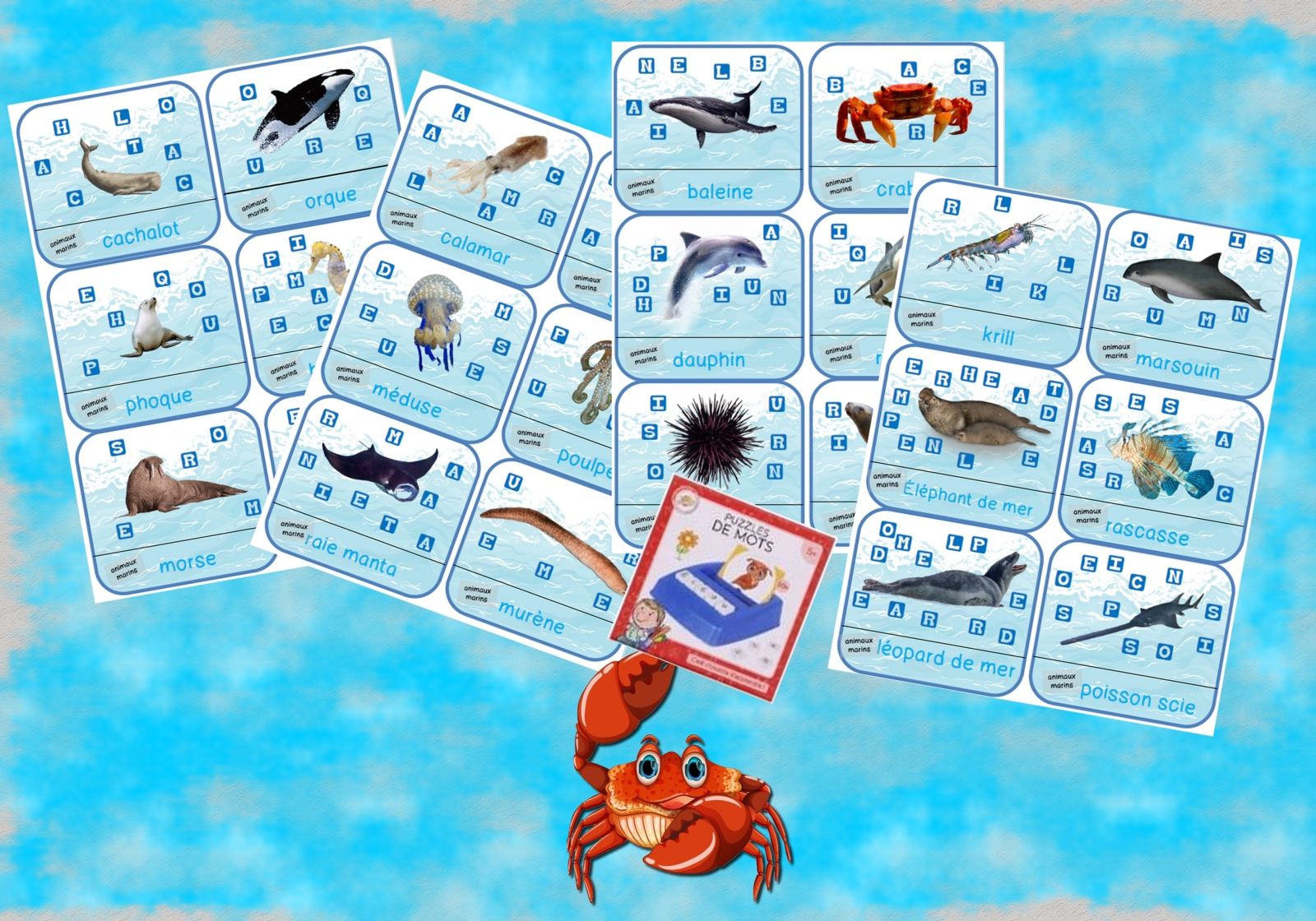 Vocabulaire animaux marins. - Coraliecaramel