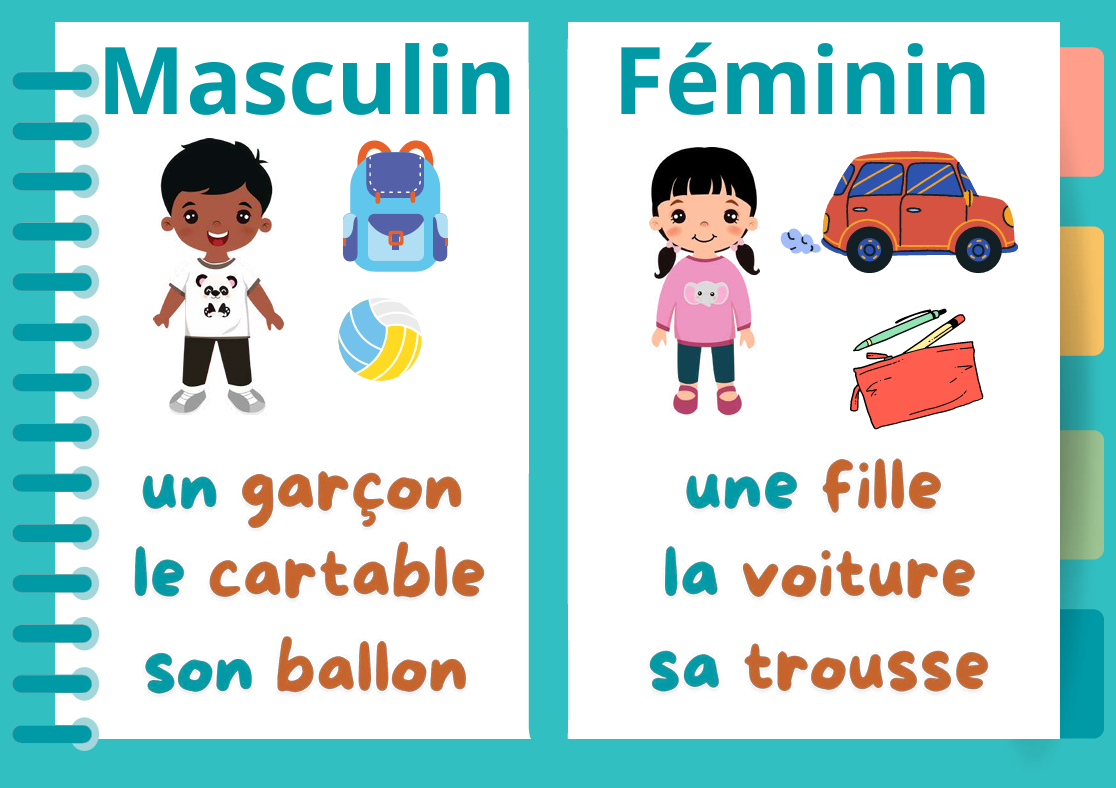 Le genre des noms: masculins ou féminins? - Dans ma valise FLS